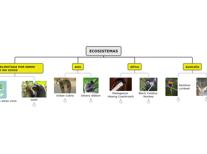 ECOSISTEMAS - Mind Map